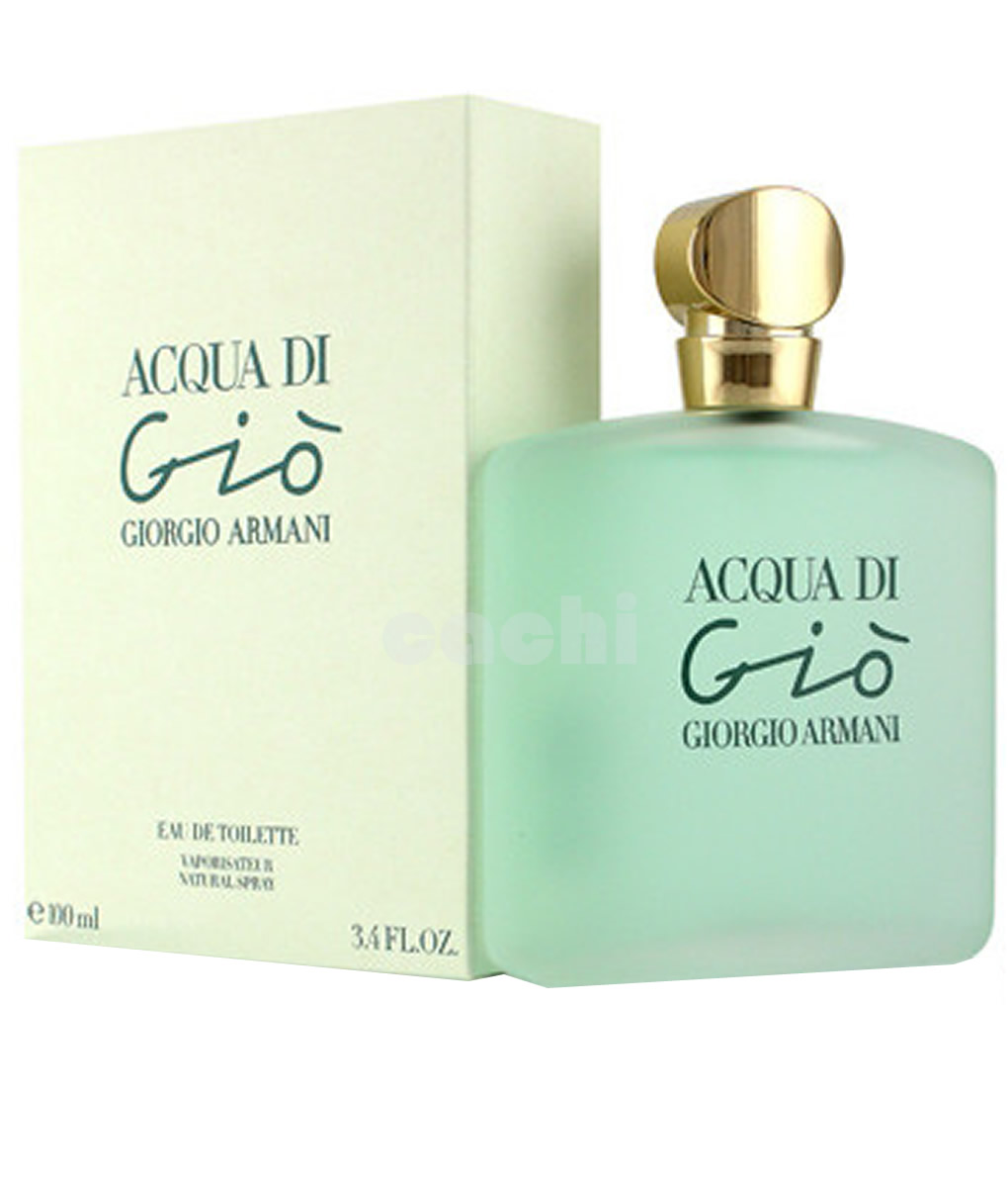 Perfume Acqua Di Gio 100ml Giorgio Armani Original