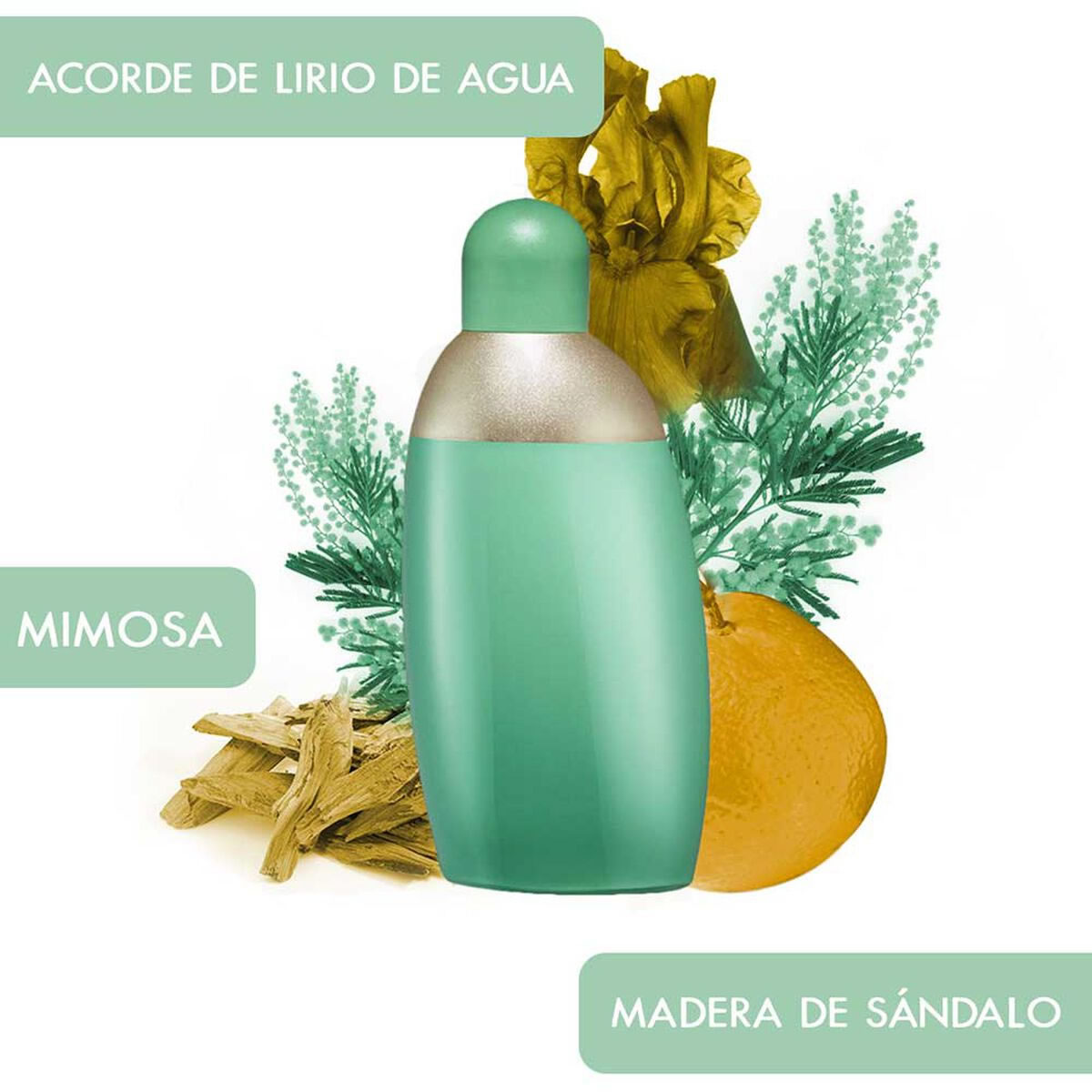 Perfume Eden Edp 50ml Cacharel Original