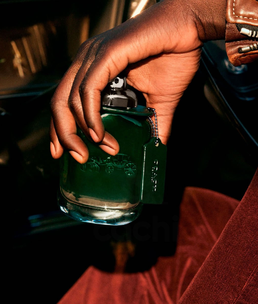 Perfume Coach Green For Men edt 100ml